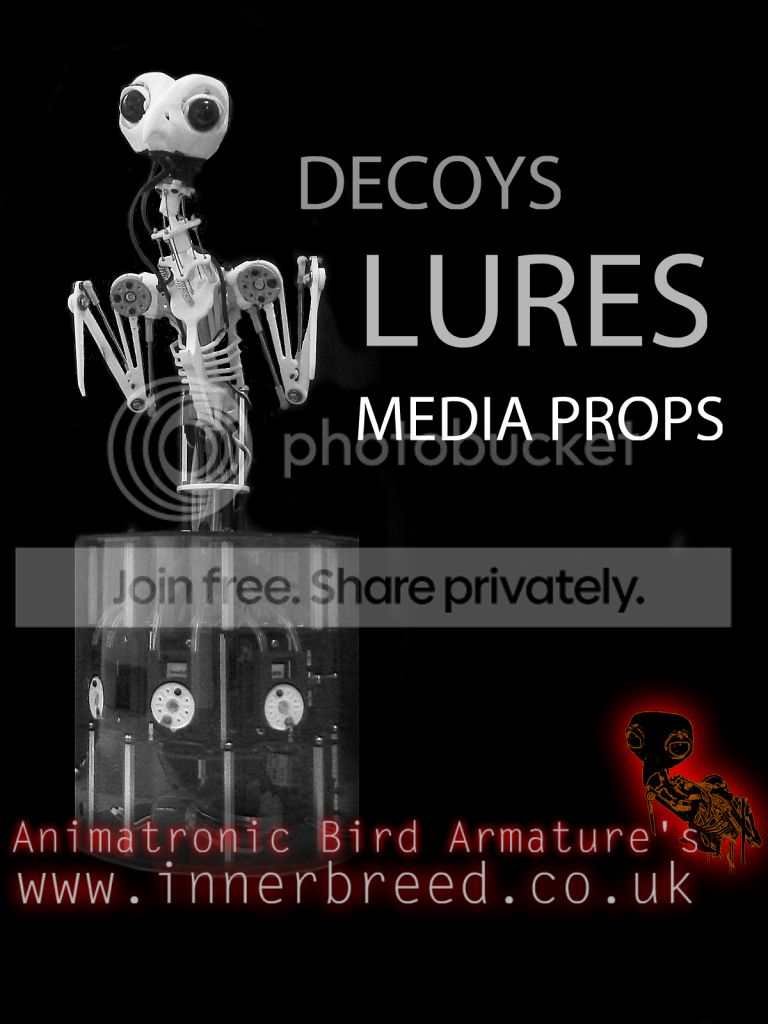 Animatronic Skeletal Armature