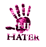 Hi Hater Decals | VW Vortex - Volkswagen Forum