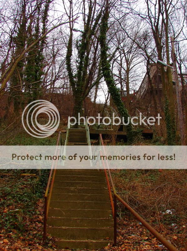 Pittsburgh neighborhood tours: Spring Garden | SkyscraperCity Forum